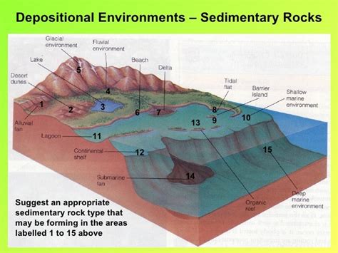 Clastic Sedimentary Rockssmall