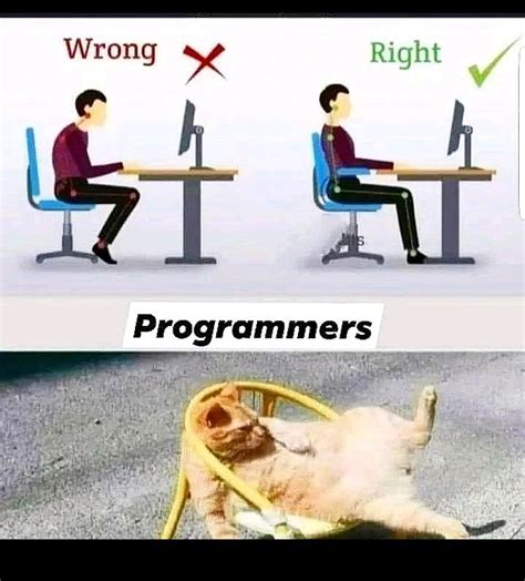 Muhammad Farooq On Linkedin Programmerlife Codinghumor Developerproblems Techlife Codeislife