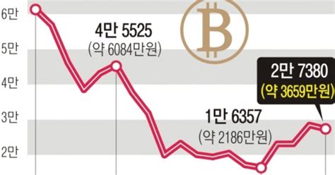 암호화폐 겨울 정말 끝났나 비트코인 내년 10만弗 간다”