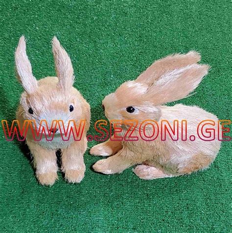 Sezoni Ge დეკორატიული კურდღელი 21ftk1221