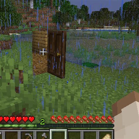 The Door Minecraft Map