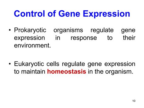 Regulation Of Gene Expression Pptx