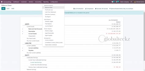 Difference Between Standard And Custom Reports In Odoo Globalteckz