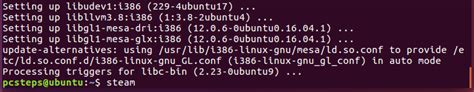 How To Install Steam And Play Games On Linux Mint 18 1 Ubuntu 16 04 PCsteps Com