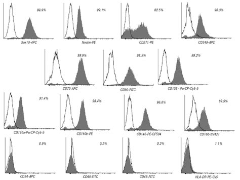 Representative Results Of Nc Mscs Phenotype Analysis By Flow Cytometry