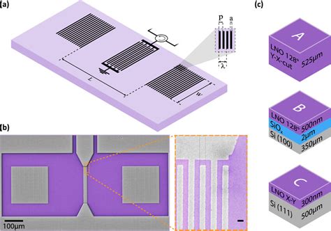 A Schematic Illustration Of The Surface Acoustic Wave Resonator And Download Scientific