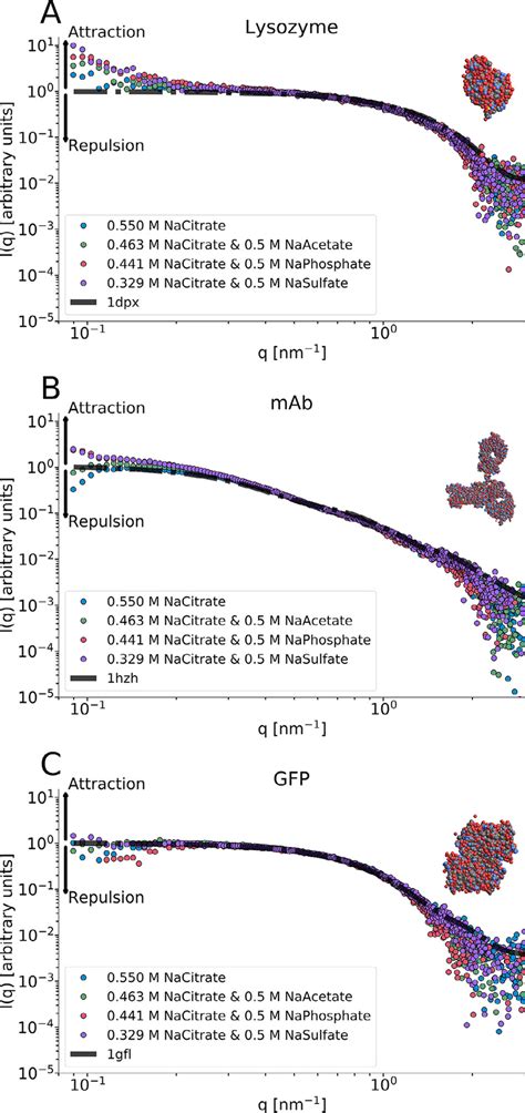 Saxs Profiles Of Lysozyme A The Mab B And Gfp C In Solution 5 Download Scientific