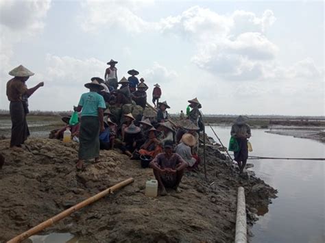 မုန်တိုင်းကြောင့် ပုဏ္ဏားကျွန်း သင်ပုန်းတန်းရွာမှ ငပိထောင်းကွင်းဆည် တာတမံ ကျိုးပေါက်သွားသောက