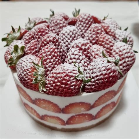 맛집 올리는 계정 On Twitter 홍대 메이비케이크 아니 진짜 비주얼도 미쳤는데 케이크 진짜 존맛 원래 보통 이정도 케이크 5명이서 먹어도 물려서 못먹는데 이거