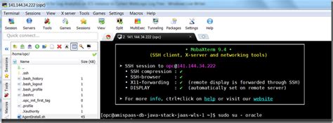 Configuring Cloud Agent For Log Analytics On Jcs Instance To Collect