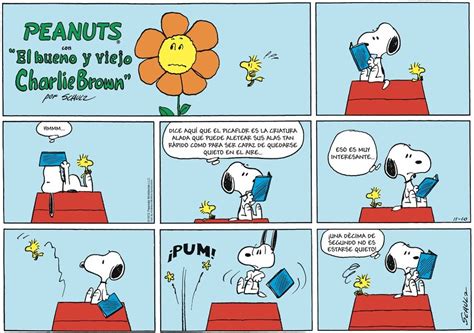 Snoopy En Español By Charles Schulz For November 10 2019 Snoopy Comics Snoopy