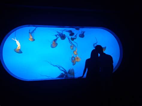 커플 사랑 로맨틱 Pixabay의 무료 사진 Pixabay