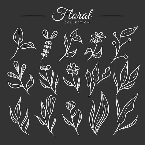 손으로 그린 꽃 잎 컬렉션 프리미엄 벡터
