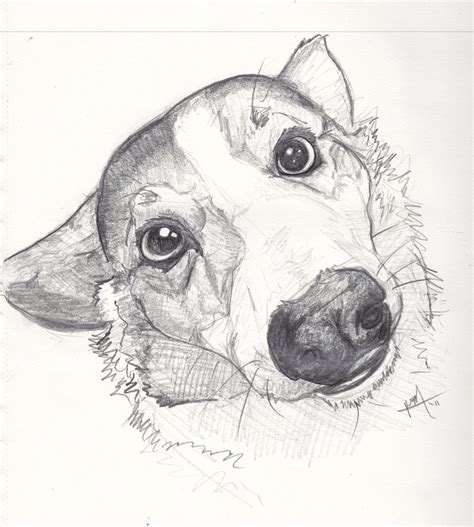 Tough Drawings At Explore Collection Of Tough Drawings