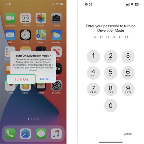 Step By Step Guide How To Enable Developer Mode On Iphone