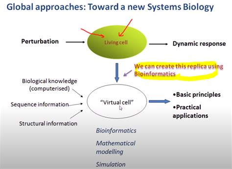Shomus Biology Bioinformatics Part 1 What Is Bioinformatics