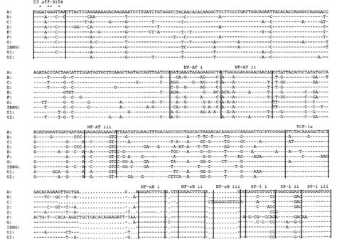 Alignment Of The Subtype Consensus Ltr Sequences Depicted Are The