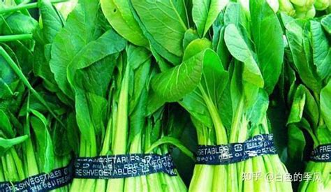 油菜在几月份播种有哪些种植要点 知乎