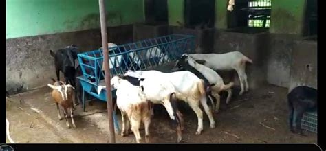 Sudarshan Ray Farmhouse Home Facebook