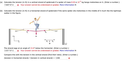 Solved Calculate The Tension In N In A Vertical Strand Of Chegg Com