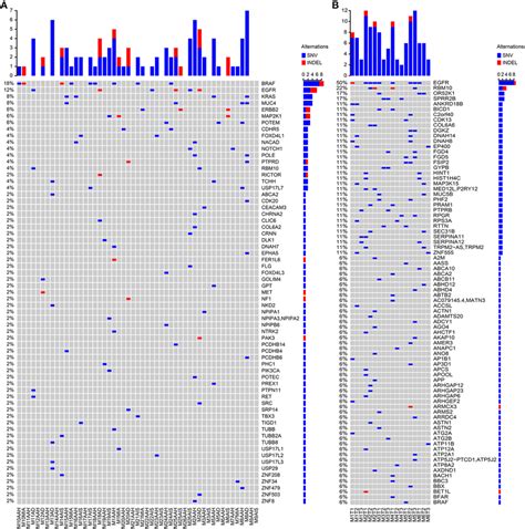 Somatic Variant Detections Somatic Snvs Were Detected By Mutect And