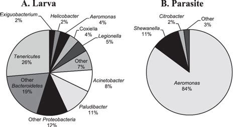 Distribution Of Bacterial Taxa Found In The Gut Of The Lamprey A
