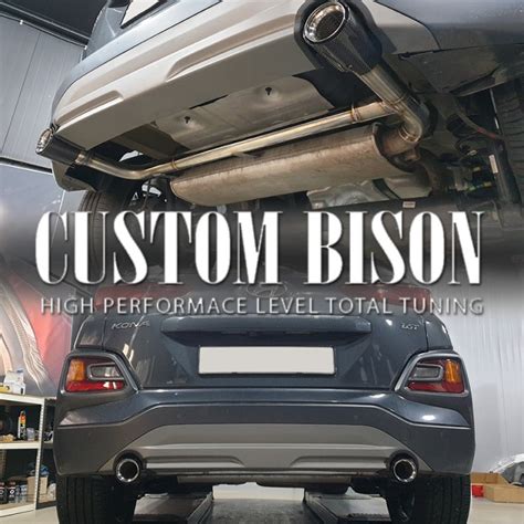 코나 구변없는 순정형 듀얼배기 M스타일 카본 싱글 머플러 팁 튜닝 By 일산 커스텀바이슨 네이버 블로그