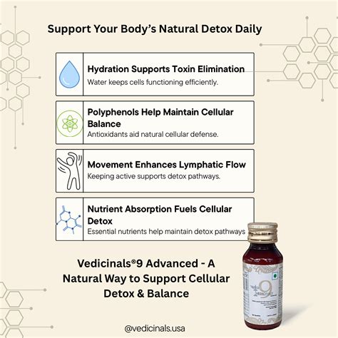 The Link Between Detoxification And Cellular Health