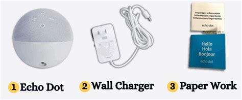 Setting Up Echo Dot For Elderly Parents Step By Step Guide Technology For Seniors