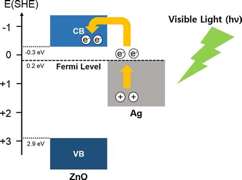 Schematic Illustration Of Schottky Contact For Znoag Hierarchical Download Scientific Diagram