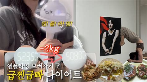 직장인 엔피아 브이로그 엔플라잉 응원법 엔퍄트 맹연습 La 커리지 베이글 따라하기 여행 후 야근지옥 여행 가서 찐 살 빼기 급찐급빠 체어요가