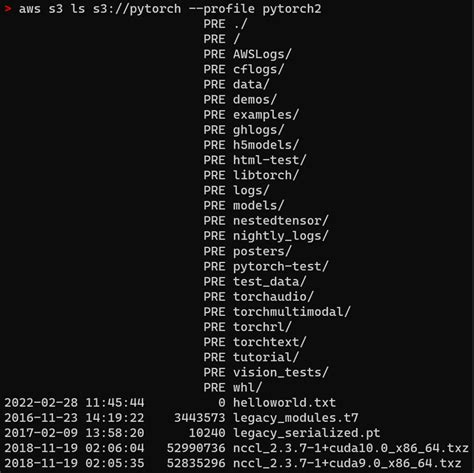 我们是如何对 pytorch 发起供应链攻击的 译文