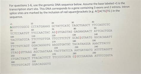 Solved Write The Sequence Of The Protein This Gene Chegg Com