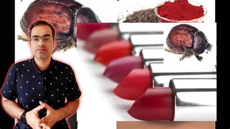 رژ لب‌هایی که در آنها از سوسک‌ها استفاده شده است نماشا