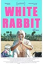White Rabbit Tv Series 2025 Imdb