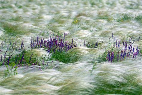 Зелений Ліхтарик Що робити якщо взимку до вас залетів кажан Кажани залітають до приміщень