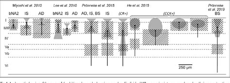 Figure 1 From Updating The Picture Of Layer 23 Vip Expressing