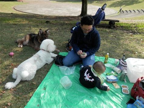 日本人は犬をよくわかっていない！？ 飼い主が学ぶことが「犬の幸せ」に 「犬や猫ともっと幸せに」をコンセプトにしたwebメディア「sippo」