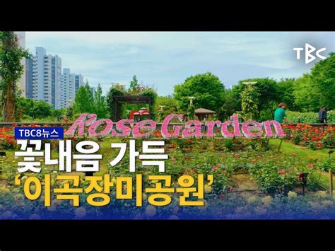 꽃내음 가득 ‘이곡장미공원