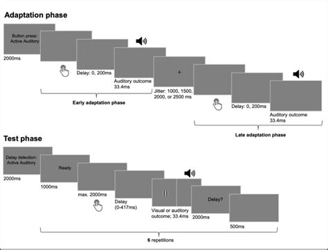 Trial Sequence And Timing Of Events The Experiment Consisted Of