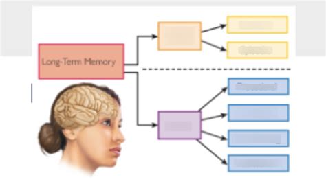 Memory Diagram Quizlet