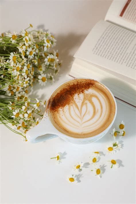 Lazy Daisy Coffee Co City Social