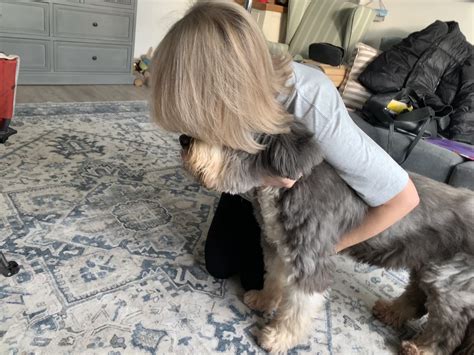 Beth Buckingham Park And Paperwork