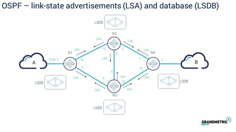 Dynamic Routing Ospf Grandmetric E Learning