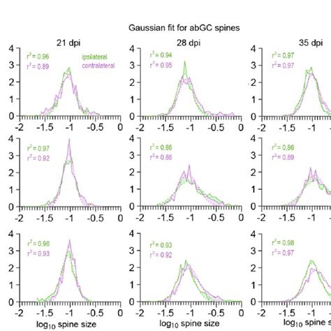 Fitting A Gaussian Distribution To Logarithmically Transformed Spine Download Scientific