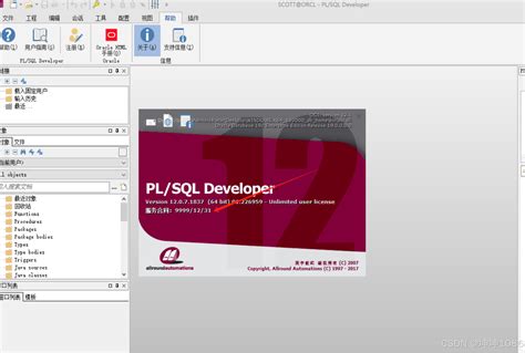 Plsql安装汉化教程plsql汉化包 Csdn博客