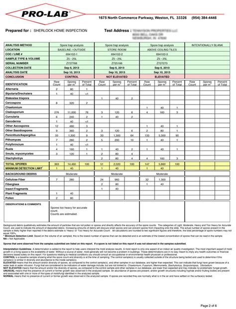 Mold Inspection Report Template