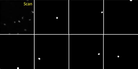Semantic Segmentation To Detect Nuclei Using U Net By Stanislav Melnikov Analytics Vidhya