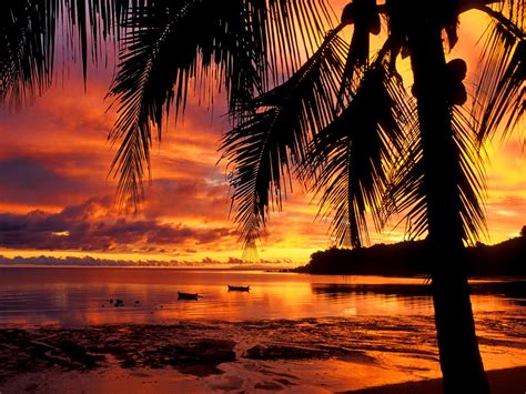 Caribbean Island Wallpaper Sunset
