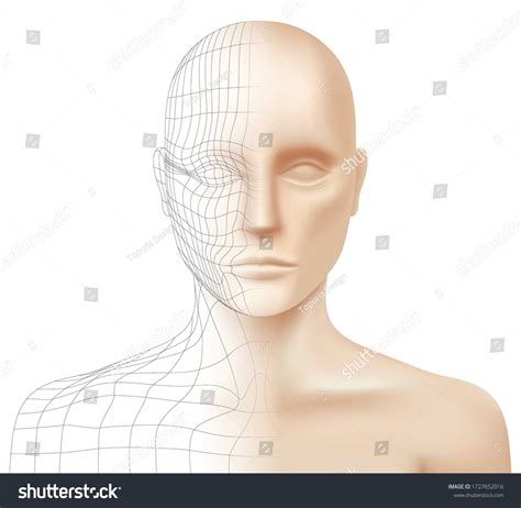 Half Face Half Science Over 594 Royalty Free Licensable Stock